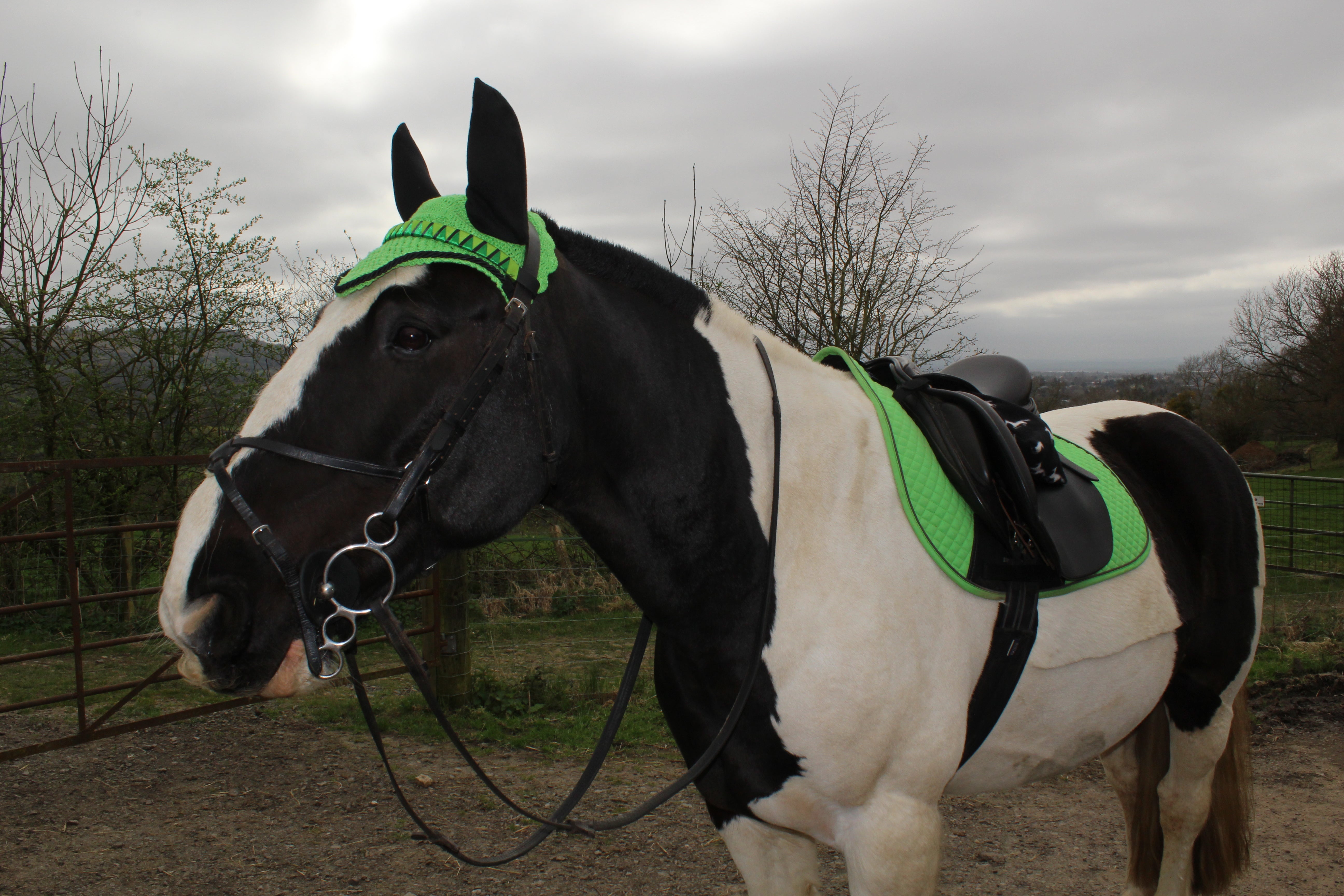 Horse Accessories, Bespoke Browbands, Ear Bonnets & Stirrup Covers ...